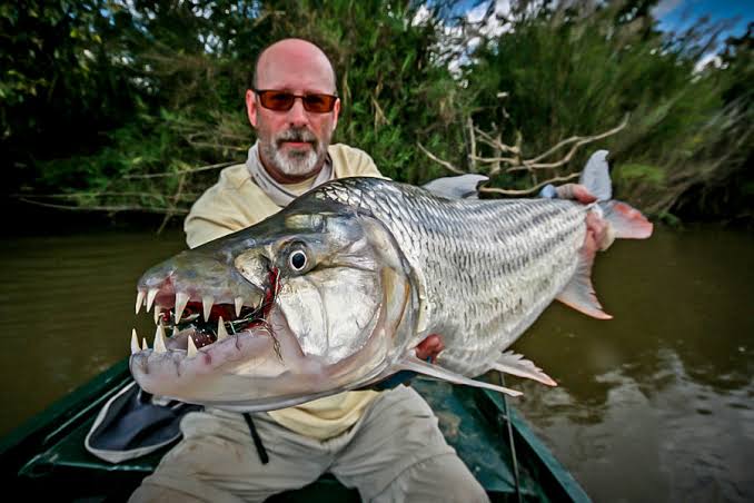 Oyster2 2G at the Kariba Invitation Tiger Fish Tournament